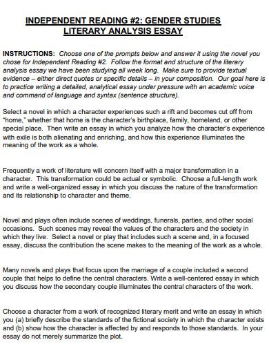 30 Literary Analysis Essay Examples To Download