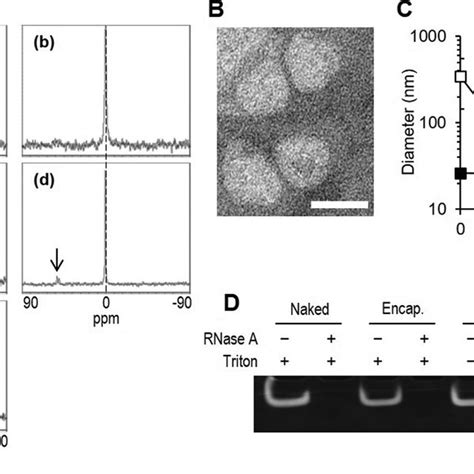 Preparation Of Sirna Loaded Lnps Using A Microfluidic Mixing Device Download Scientific