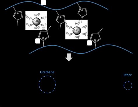 Ionic Nanocomposites Synthesized Via Self Assembly Of Im Pu And Sio 2 Download Scientific