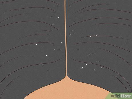 How To Exfoliate Your Scalp Benefits Products More