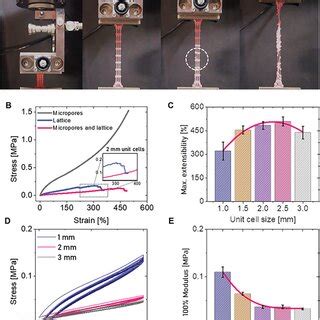 Compression Test Results A Sequential Photographs Of Compression Download Scientific Diagram