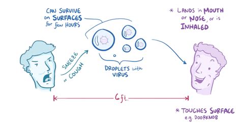 Influenza Flashcards Memorang