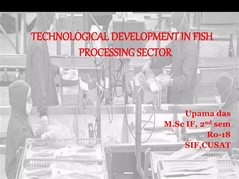 Dynamics Of Development In Fish Processing Sector Pptx Pet Supplies