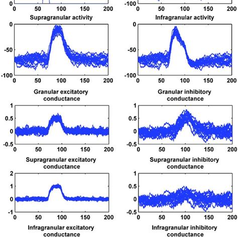 Cortical Column Architecture A Cortical Column Is Segregated Into Download Scientific Diagram