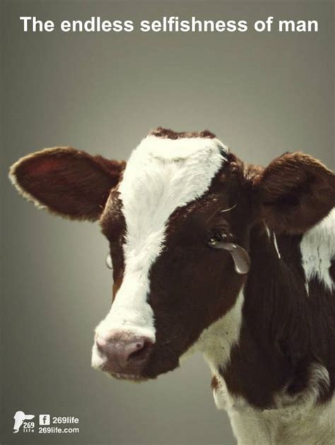 လိင်စိတ်အာသာပြေဖို့အတွက် နွားတွေကိုအသုံးပြုတဲ့အဘိုးအို Myanmarload