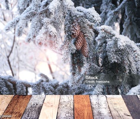 크리스마스 배경입니다 햇볕이 잘 드는 겨울 숲을 배경으로 빈 나무 테이블 상판 나무 테라스 바닥과 서리로 덮인 솔방울이 있는 소나무 가지 휴일 크리스마스 배너 전나무 가지와
