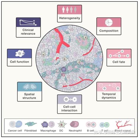 北京大学张泽民院士团队 Cell：综述肿瘤基因组学的重要成果与发展方向 知乎