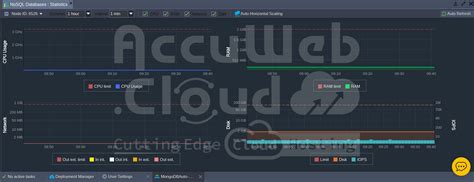 Monitor Consumed Resources In Detail On Accuwebcloud