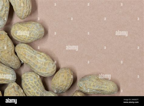 Unshelled Peanuts Scattered On Cardstock Background With Copy Space