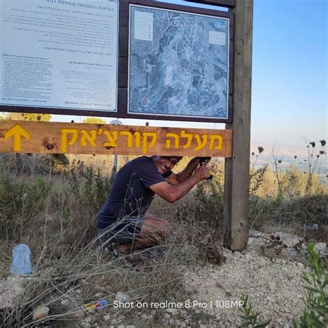 צילום יח”צ
