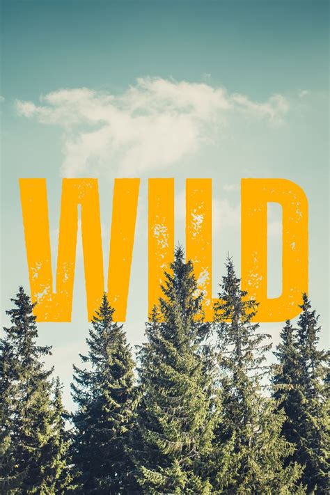 How To Put Text Behind Object In Canva Canvas Canvas Learning Canva