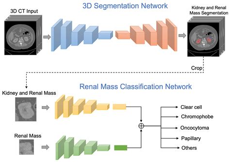 Multistain Segmentation Of Renal Histology First Step