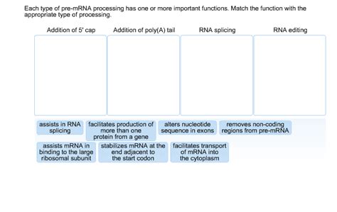 Solved Each Type Of Pre Mrna Processing Has One Or More