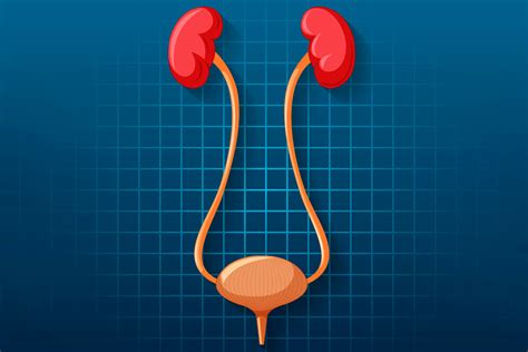 При проблеми с Отделителна система Revita Bg