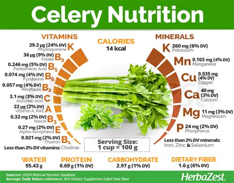 Celery Nutritional Value