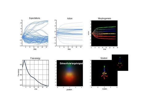 Self Assembly And Active Inference This Figure Shows The Results Of A Download Scientific