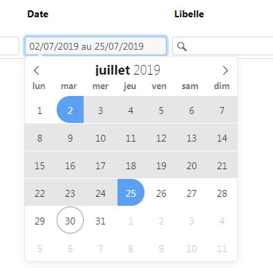 Custom Date Filter Are Not Working Anymore Issue 247 Ghiscoding