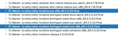 Tcnative Can Not Found Netty Tcnative In Javalibrarypath · Issue