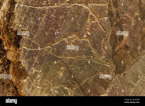 Prehistoric Rock Art Sites Of The Coa Horses Engravings Of The Côa