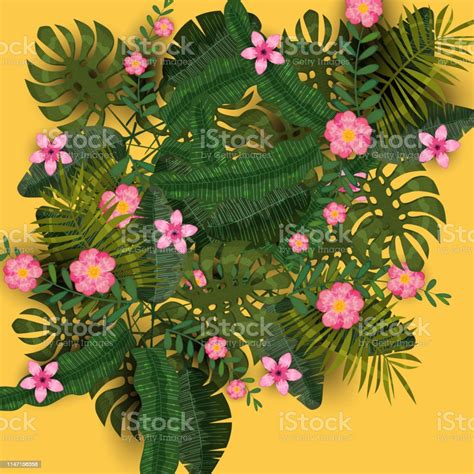 여름 이국적인 식물과 히 비 스커 스 꽃 열 대 배경 템플릿입니다 트렌드 패턴 정글입니다 벡터 삽화 고립 된 포스터 배너 전단지 초대장 0명에 대한 스톡 벡터 아트 및 기타