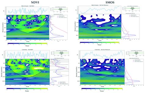 Wavelet Transforms Of Monthly Standardized Series Of Regional Average
