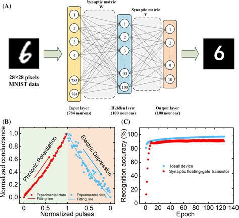 A Schematic Illustration Of A Two‐layer Perceptron Neural Network For Download Scientific