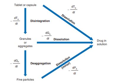 Dissolution Measurement Equation