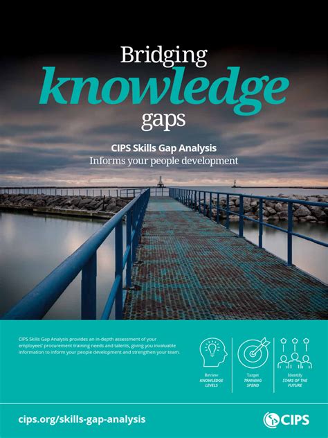 Cips Skills Gap Analysis Pdf Procurement Economies