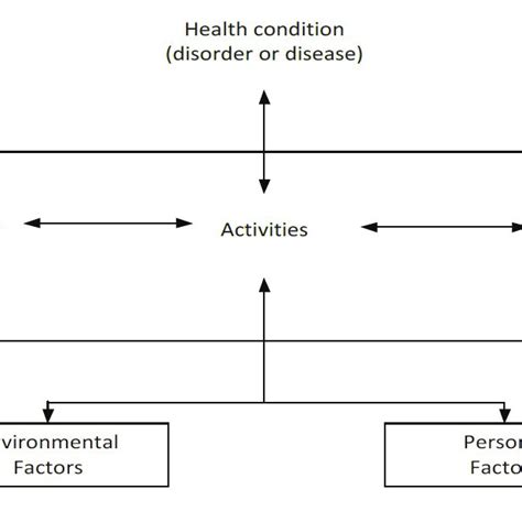 Interactions Between The Components Of The Icf International Download Scientific Diagram
