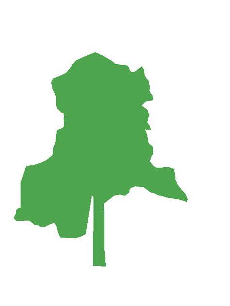 Urban Street Tree Dataset Ninja