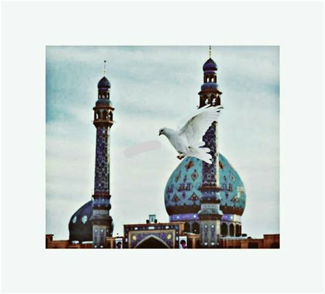 سـلام علـے آل یـس، عکس ویسگون