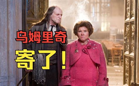 乌姆里奇如何被赶出学校？《哈利波特与凤凰社》超详细原著解读！哈利波特电影与小说对比45 终不似儿 终不似儿 哔哩哔哩视频