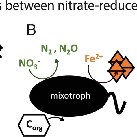 Overview Of The Three Different Types Of Interaction Between