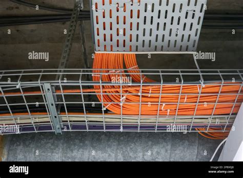 Neatly Arranged Bunch Of Ceiling Mounted Ethernet Cables Inside