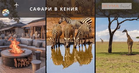 Какво е необходимо за сафари в Кения - Рейма Травел