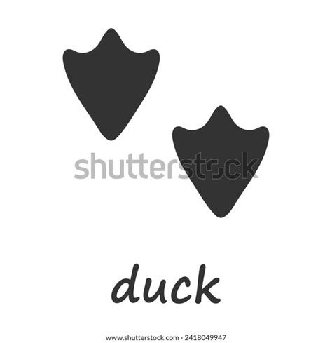 Duck Paws Duck Paw Print Vector Stock Vector Royalty Free 2418049947 Shutterstock