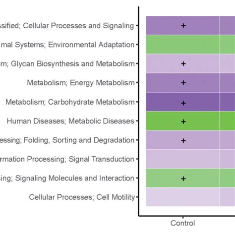 Relative Abundance Log10 Transformation Heat Map Of Distinct Kegg