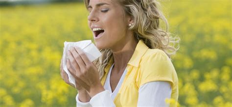 Estrogen Worsens Allergic Reactions Lunatic Laboratories