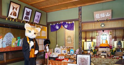 京都貓貓寺貓奴必朝聖貓咪住持貓貓襖繪主題咖啡廳等你來玩 猫猫寺貓貓寺京都貓奴貓咪咖啡 生活發現 妞新聞 niusnews