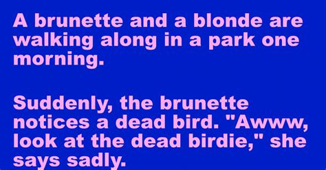 Two Roaches Having A Discussion Wake Up Your Mind