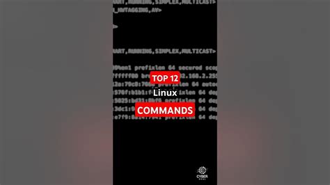 12 Must Know Linux Networking Commandslinuxcommands Linux