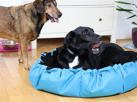 Kreveti za pse Dvije Njuške