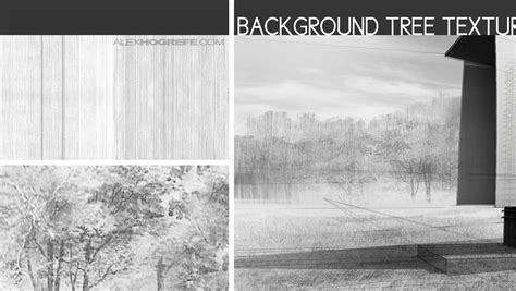 Tree Facade Texture Reflection Of Modern Commercial Building On Glass