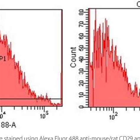 Flow Cytometric Analysis Of Rat Mscs Download Scientific Diagram