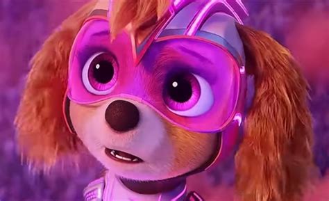 Pin By Cyril Barthélémy On Paw Patrol Skye Paw Patrol Paw Patrol