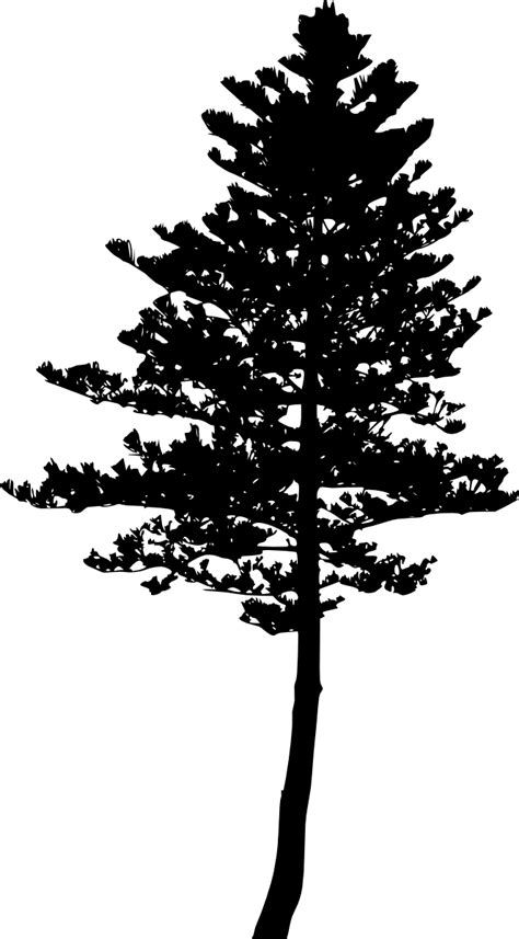 10 Pine Tree Silhouette PNG Transparent Vol 3 OnlyGFX Com
