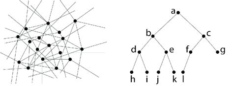 Left Rhizome Graph Structure Right Binary Tree Graph Structure Left Rhizome Graph Structure Right Binary Tree Graph Structure