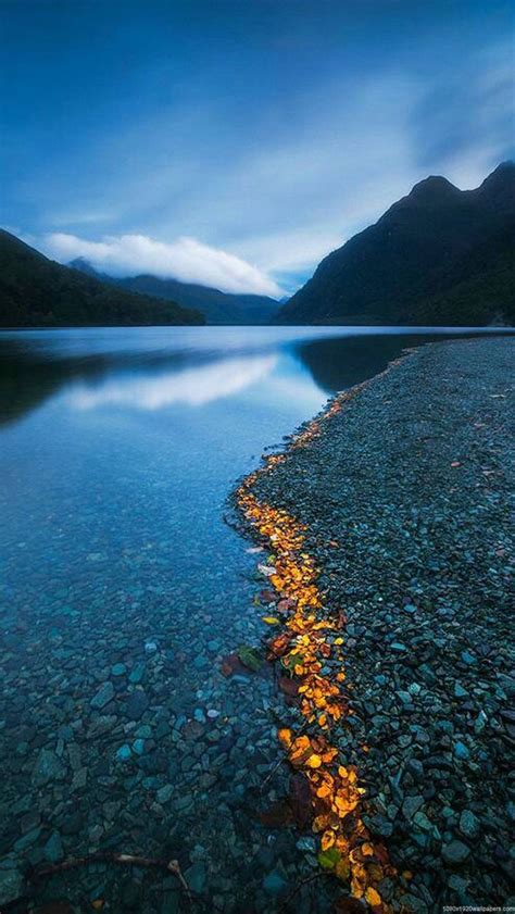 Portrait Nature Wallpapers 4k Hd Portrait Nature Backgrounds On