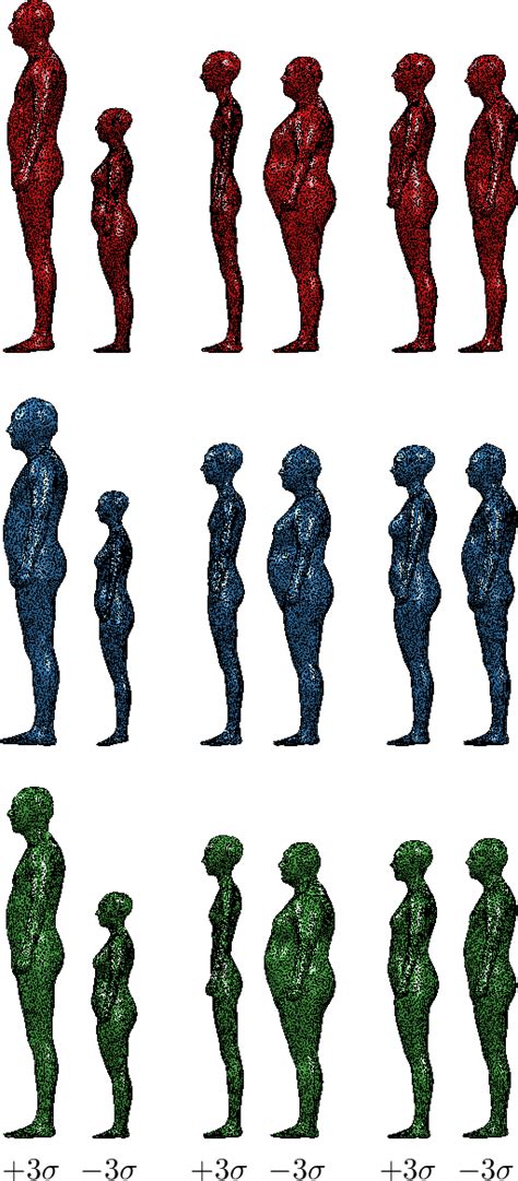 Figure 11 From Deformation Models For Human Shape Analysis Modèles De Déformation Pour L