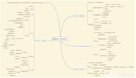 医学免疫学基础思维导图（无临床免疫学）